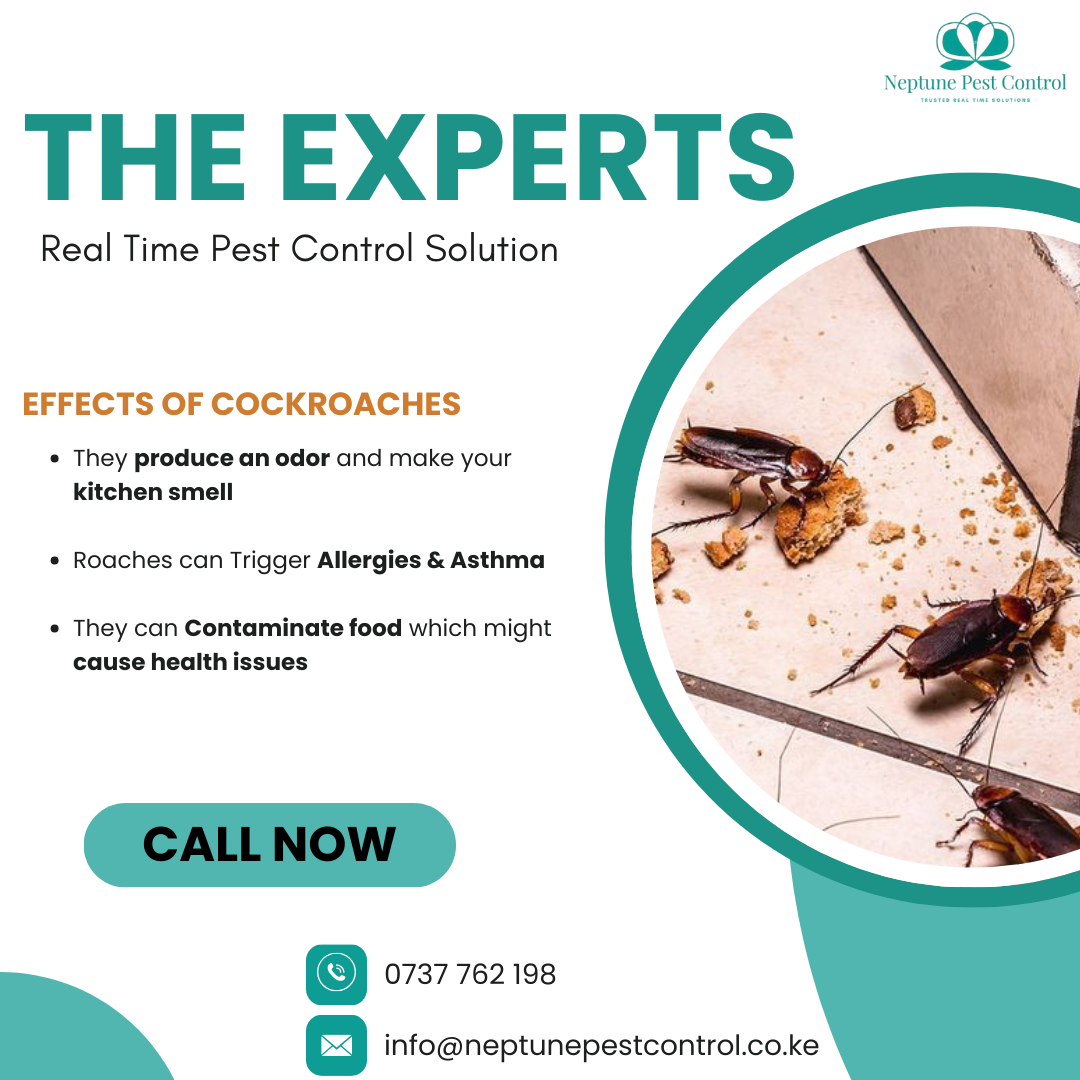 Common Pests in Nairobi Homes & Businesses | Control Guide - Neptune ...